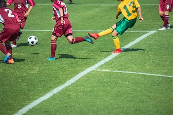 Neuromuscular Performance Evaluation Device | Nitto in Türkiye